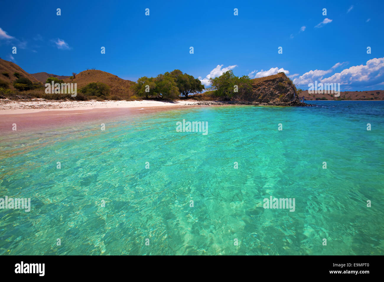 Pink beach indonesia hi-res stock photography and images - Alamy