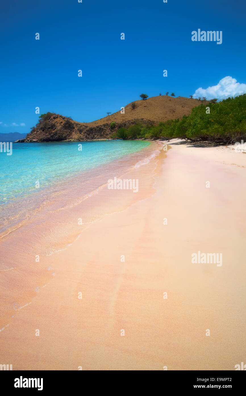 Komodo national park pink beach hi-res stock photography and images - Alamy