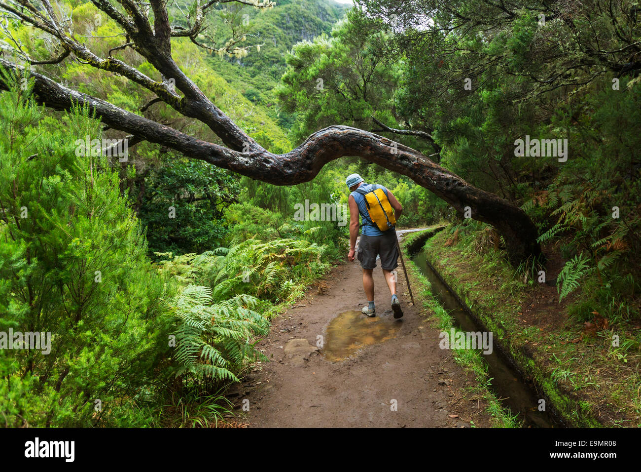 Hike in Madeira Stock Photo - Alamy