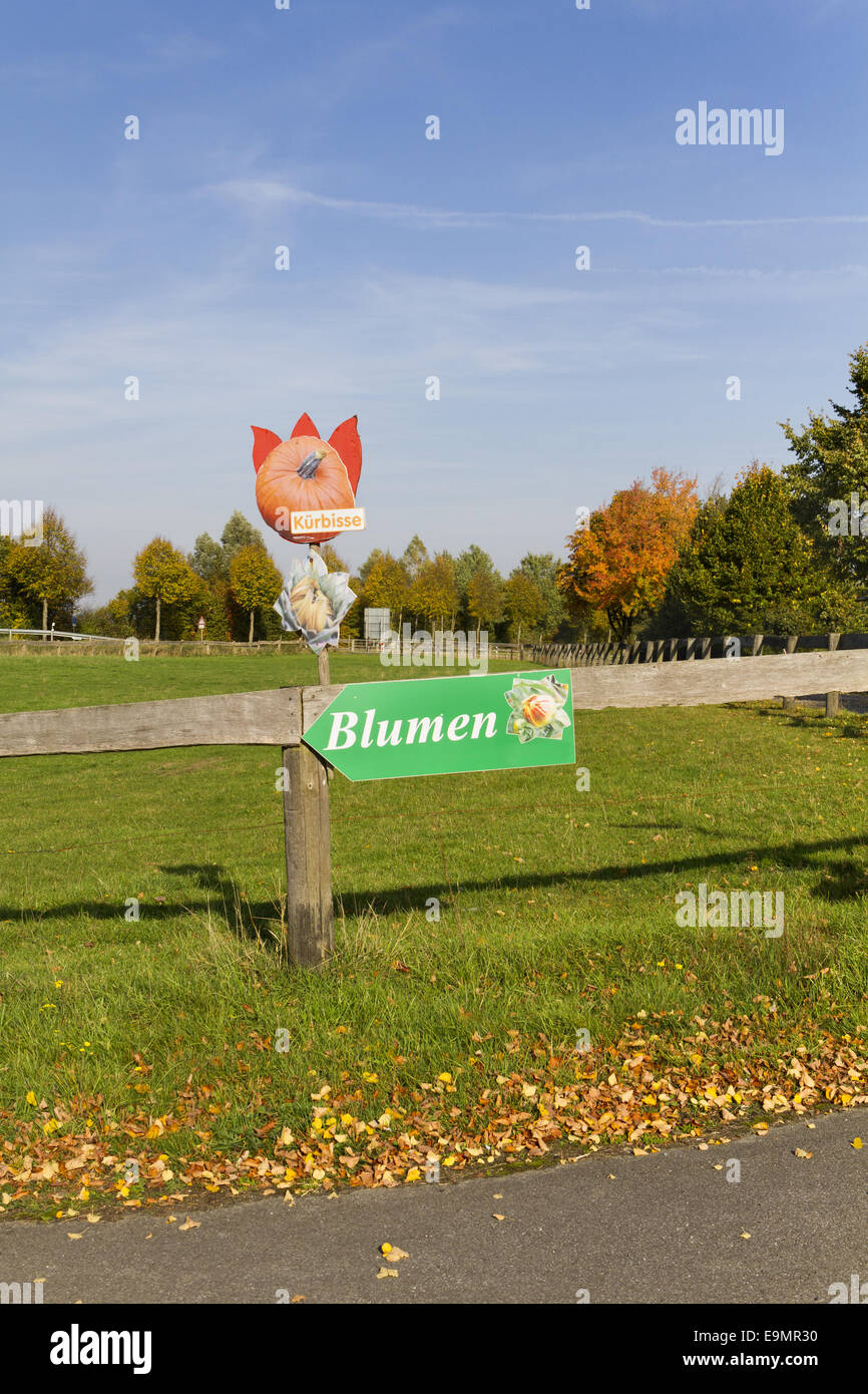 Direct marketing hi-res stock photography and images - Alamy