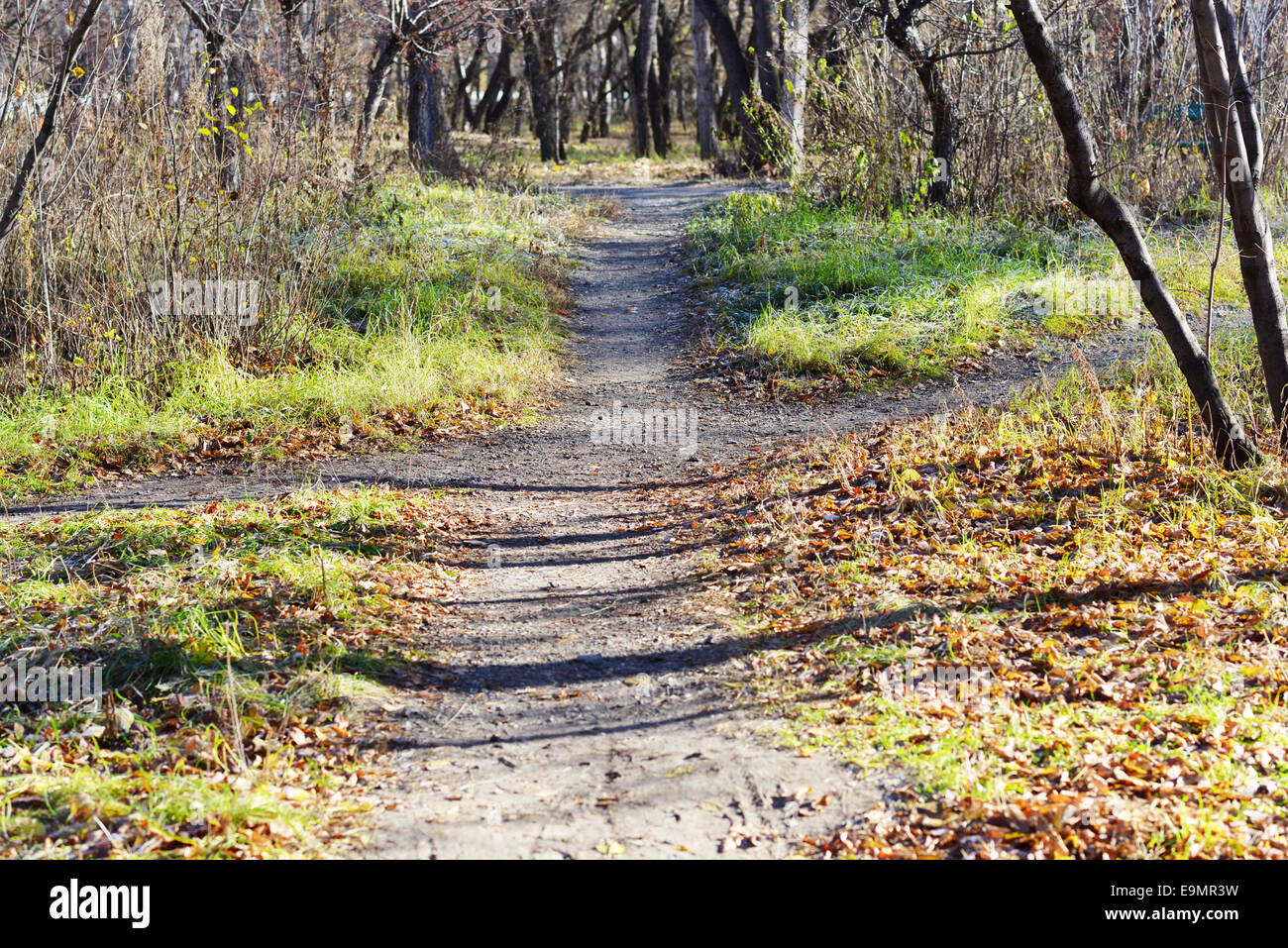 fork in a garden Stock Photo - Alamy