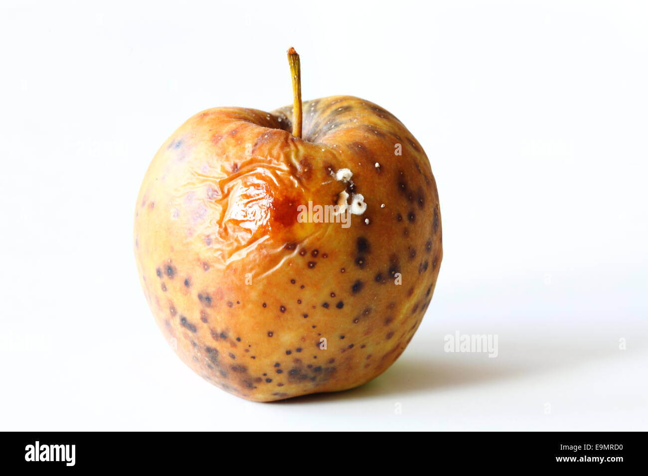 Spoiled damaged hi-res stock photography and images - Alamy