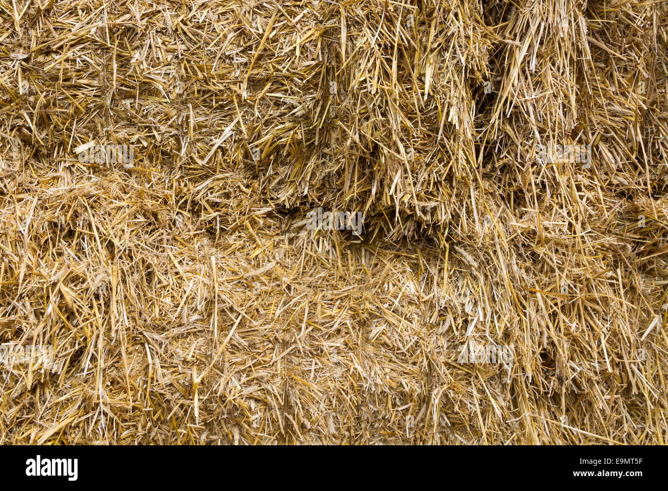 strow Stock Photo - Alamy