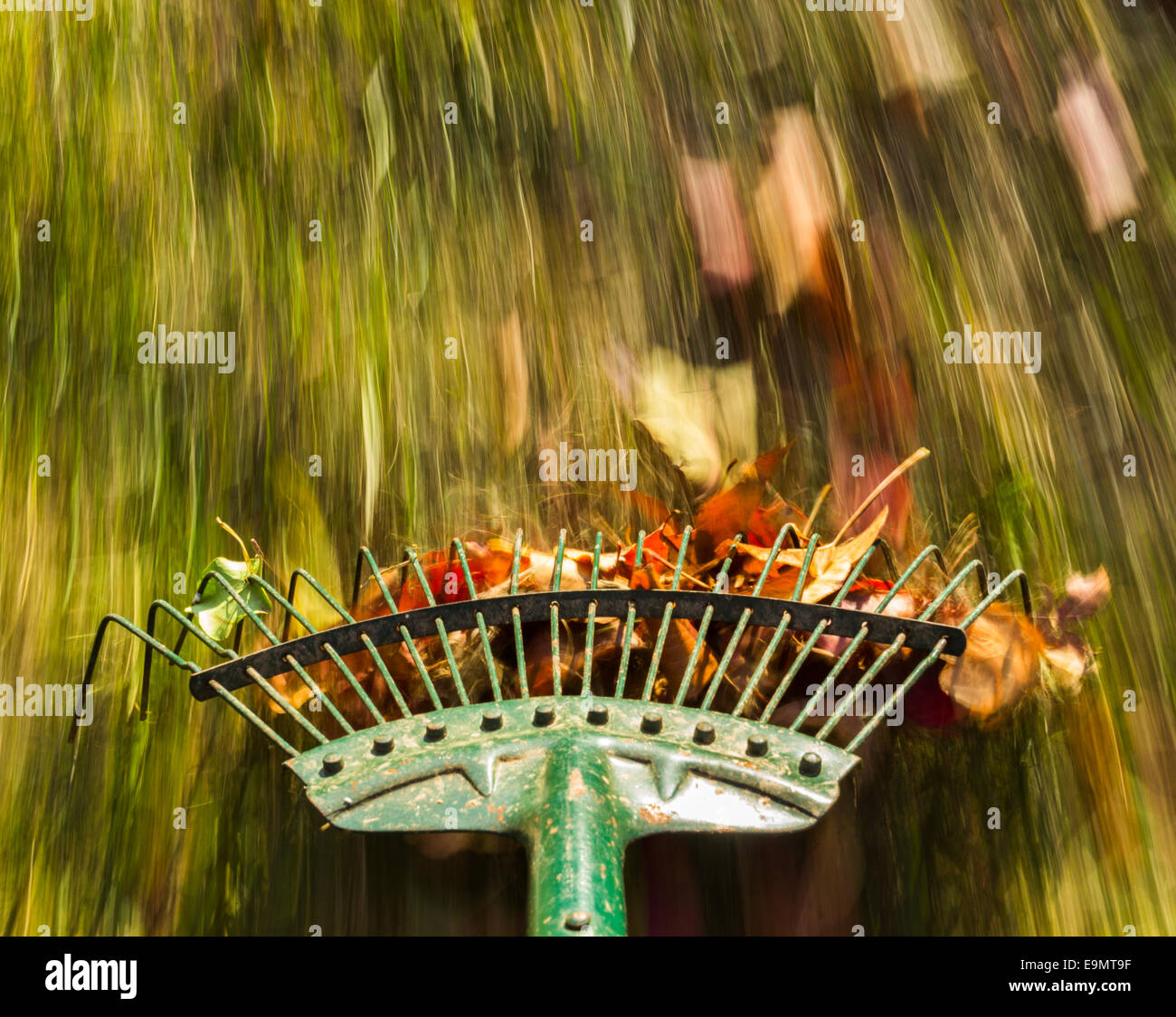 Lawn rake hi-res stock photography and images - Alamy