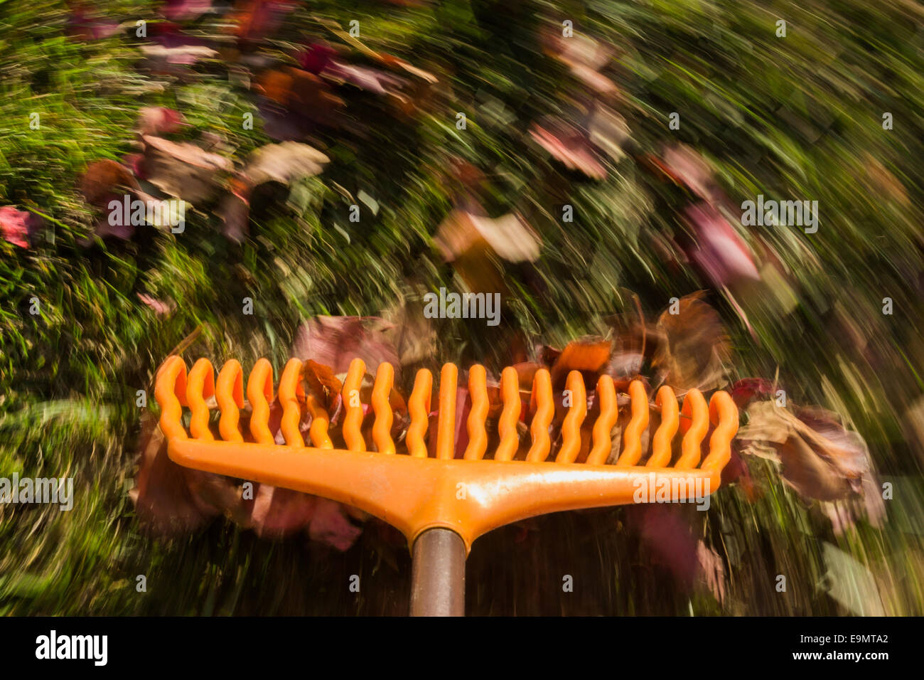 Rake leaves hi-res stock photography and images - Alamy
