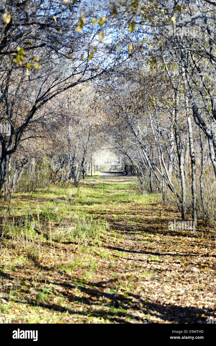 Autumn arch hi-res stock photography and images - Alamy