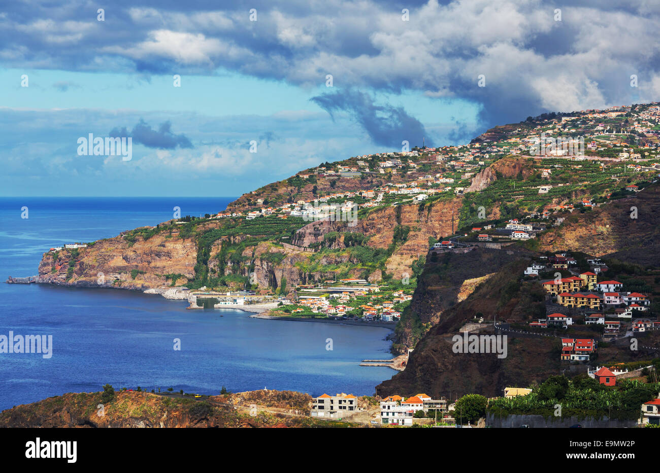 Native flower of madeira hi-res stock photography and images - Alamy