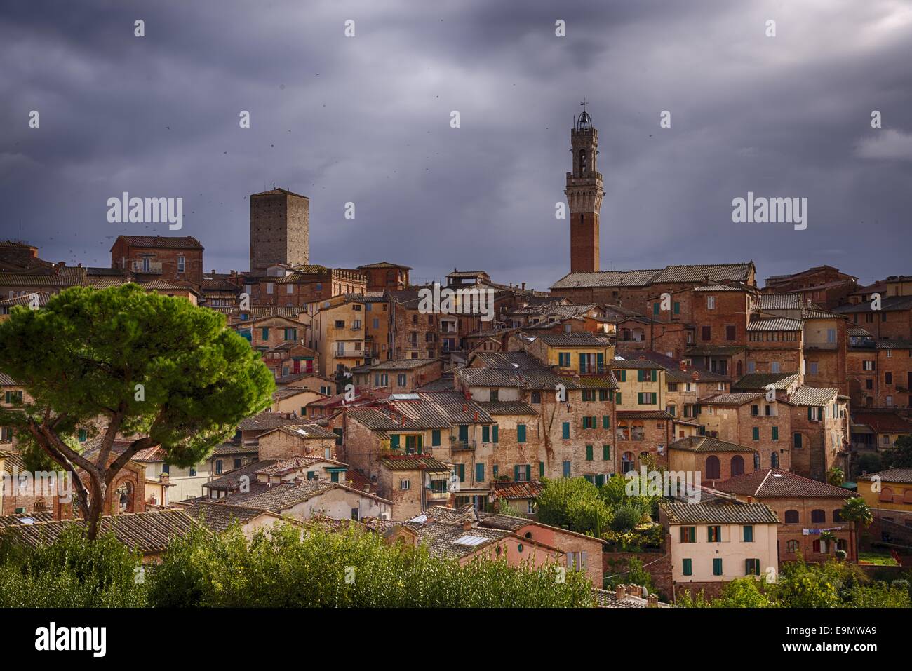 Cityscape of Siena Stock Photo - Alamy