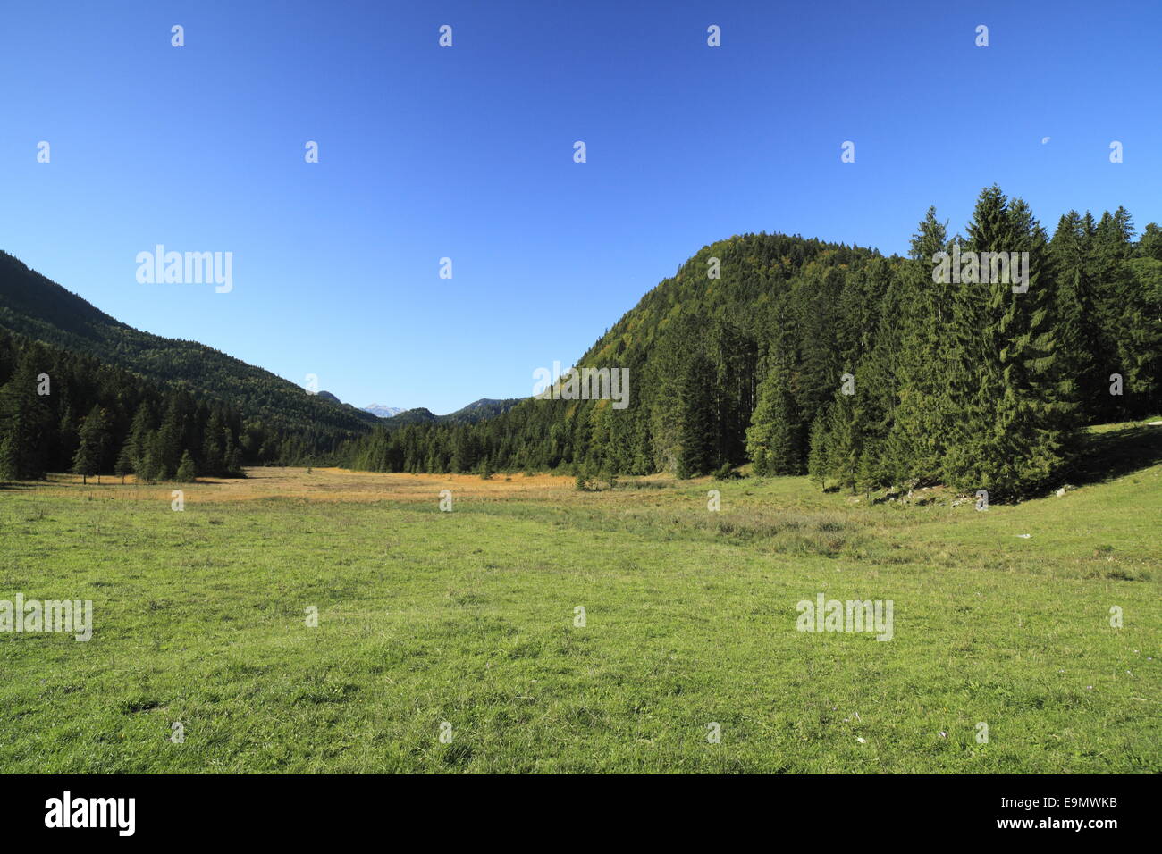 bavarian nature landscape Stock Photo - Alamy