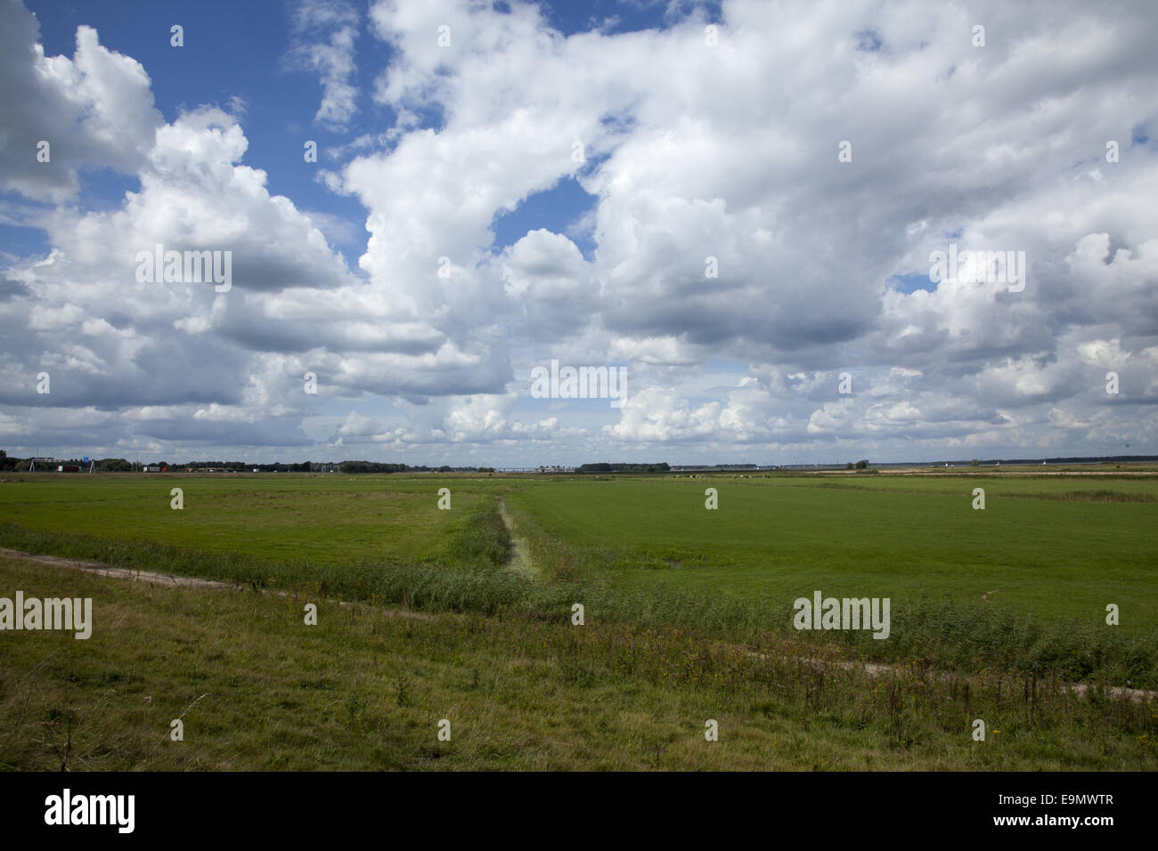 Netherlands green hi-res stock photography and images - Alamy