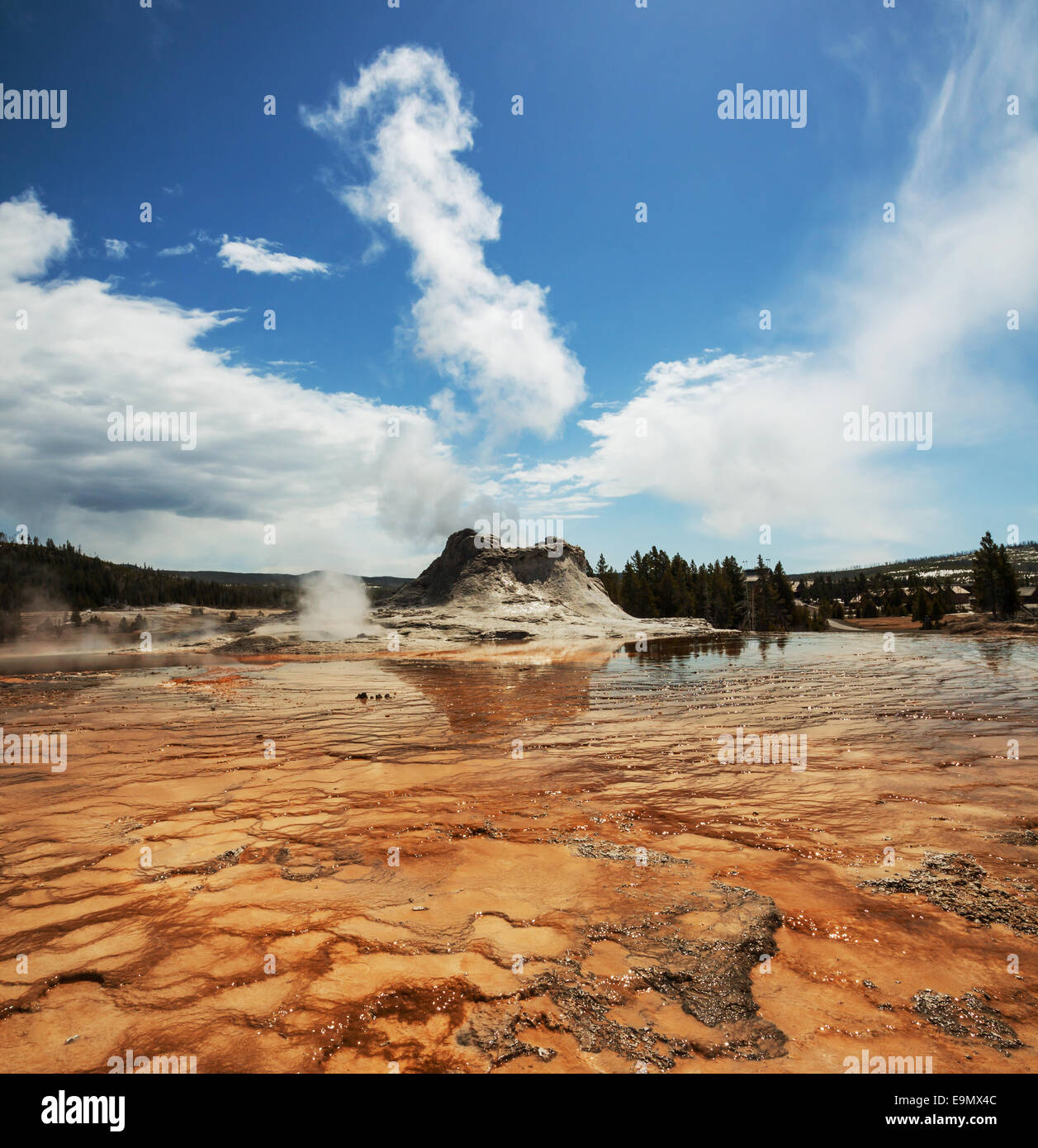 Geyser in Yellowstone Stock Photo - Alamy