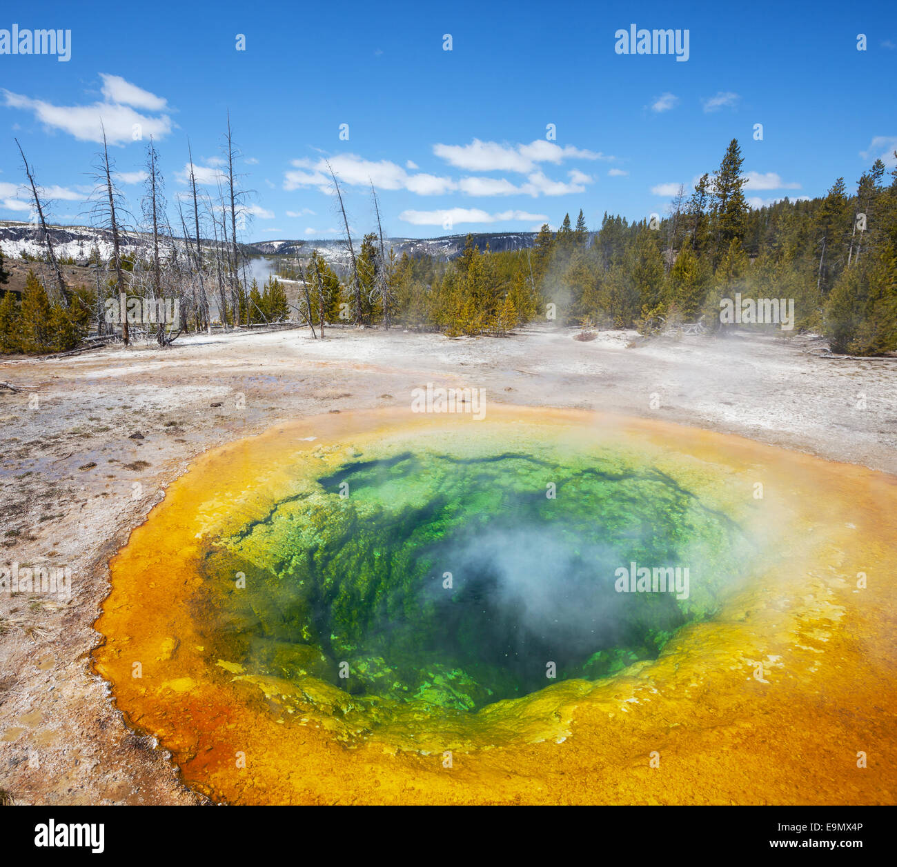 Morning Glory Pool Stock Photo - Alamy