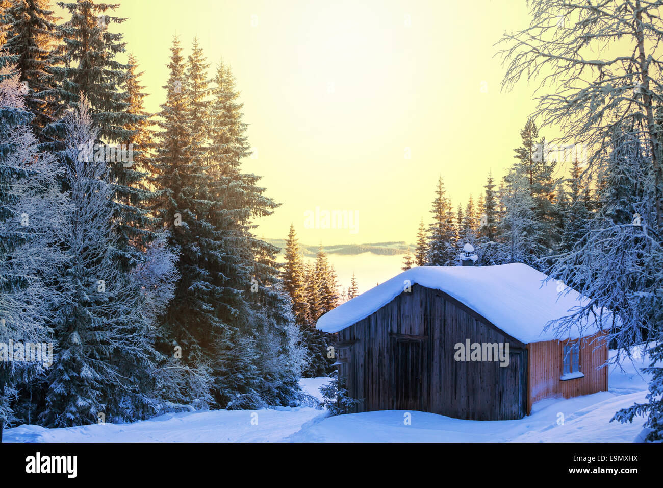 Frost res hi-res stock photography and images - Alamy