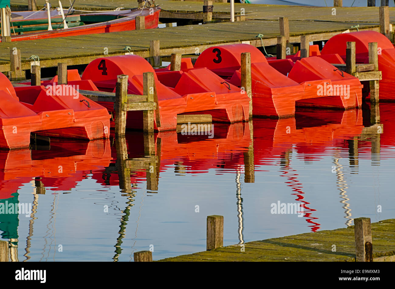 Impression at the Dümmer lake Stock Photo - Alamy