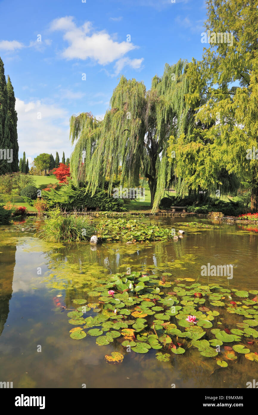 Pond surrounded by trees hi-res stock photography and images - Alamy