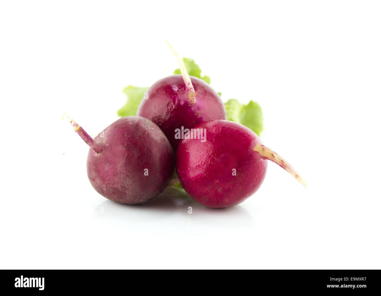Small garden red radish Stock Photo - Alamy