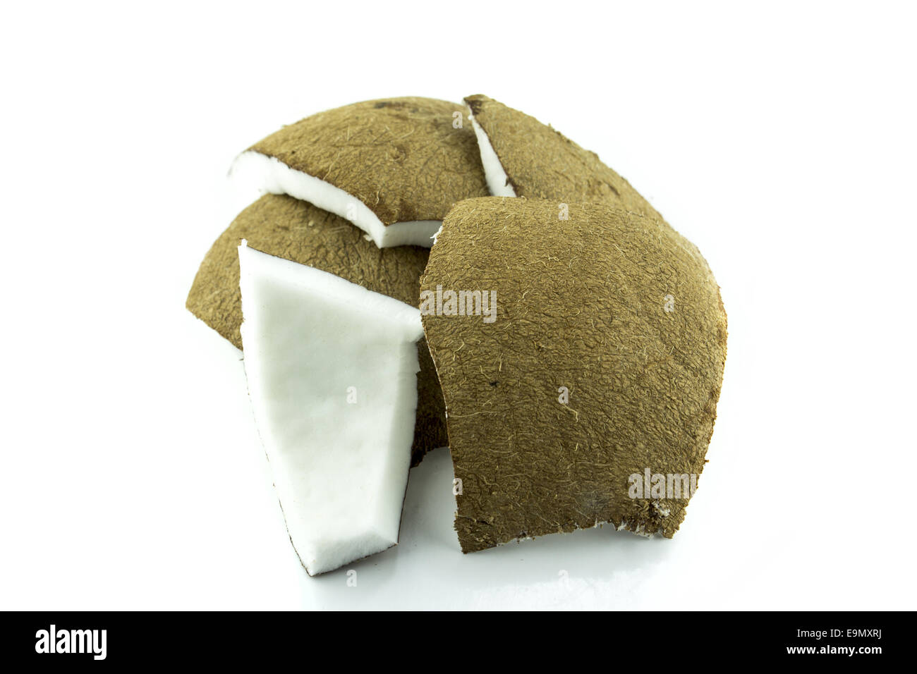 Coconut tree parts hi-res stock photography and images - Alamy