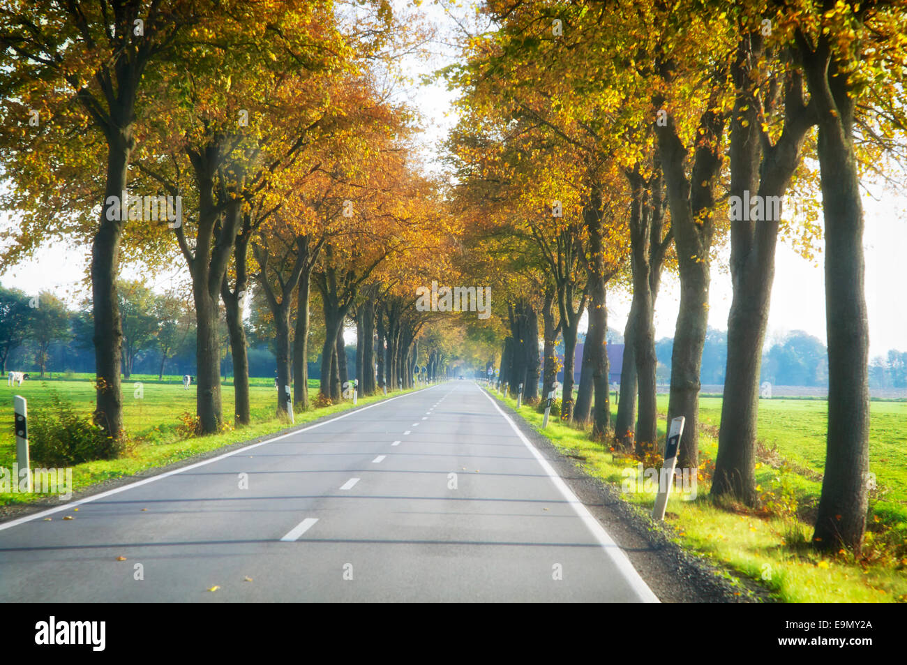 Speed on the street Stock Photo - Alamy