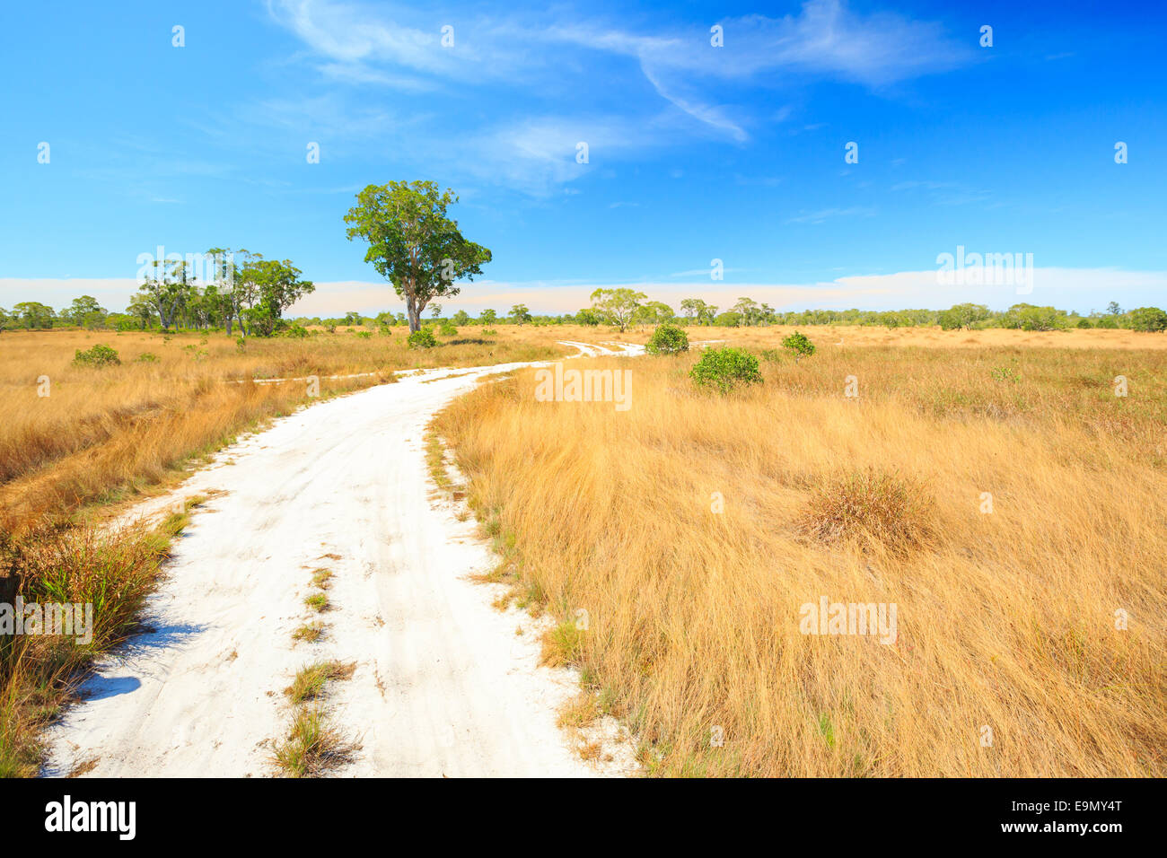 Savannah grassland vegetation hi-res stock photography and images - Alamy