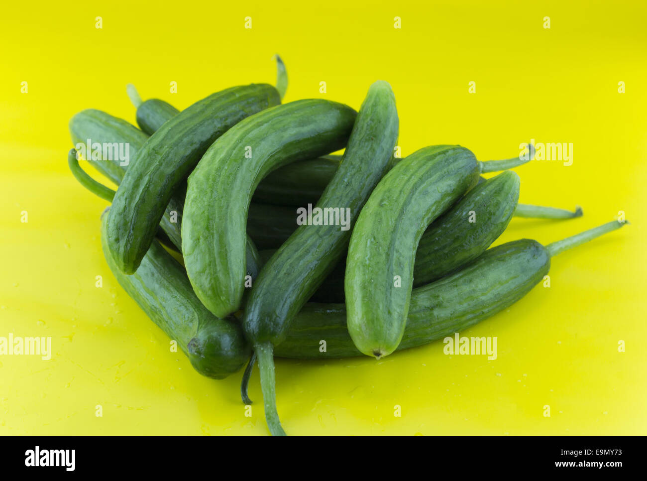 Cucumber stem hi-res stock photography and images - Alamy