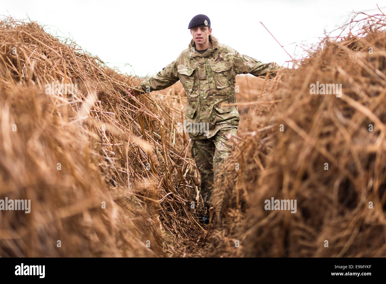A soldier walks through an overgrown trench in a practice battlefield ...
