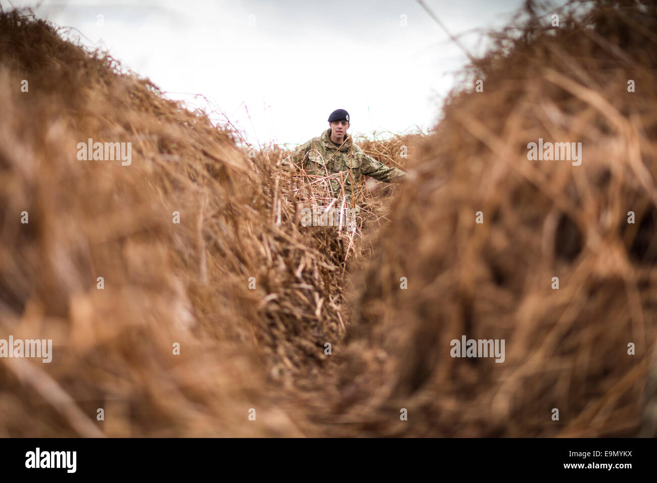 A soldier walks through an overgrown trench in a practice battlefield ...