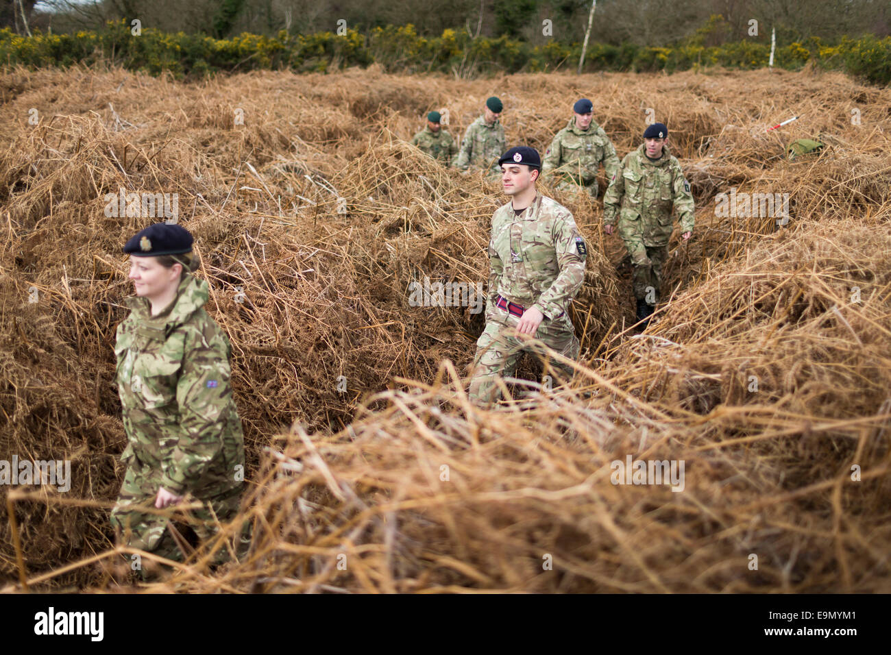 Soldiers walk through an overgrown trench in a practice battlefield ...