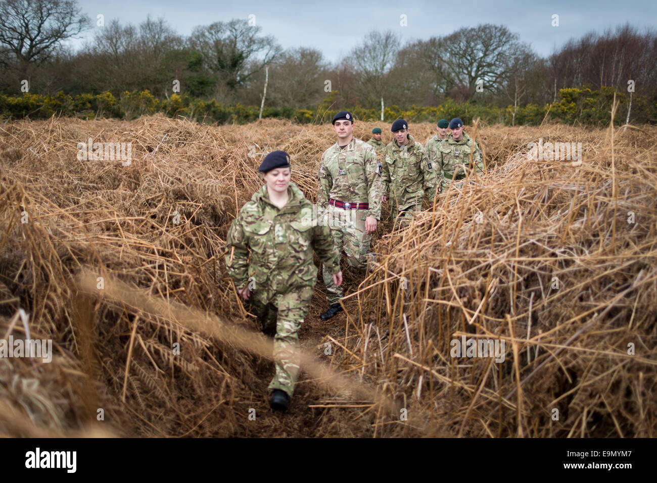 Soldiers walk through an overgrown trench in a practice battlefield ...