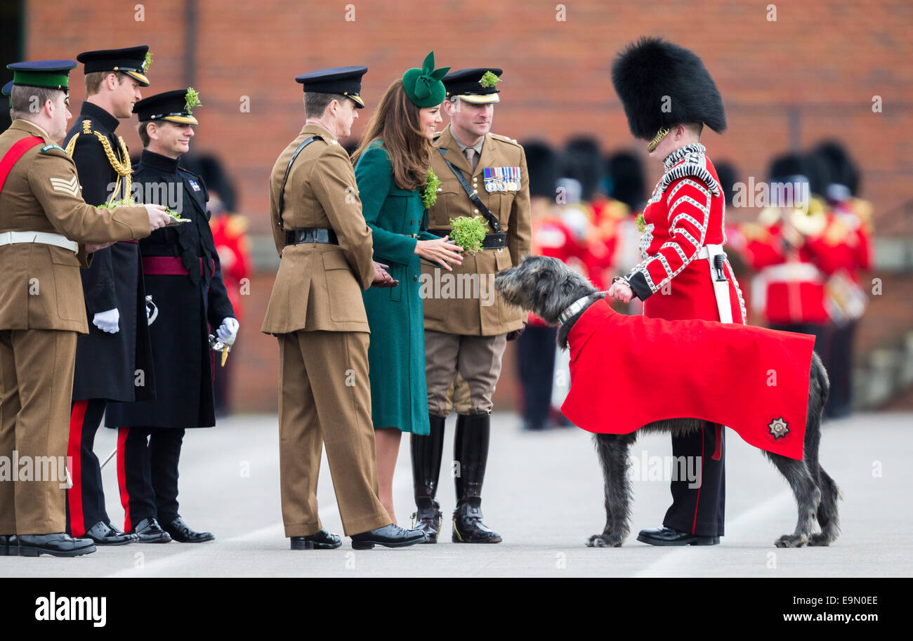 Kate irish guards uniform hi-res stock photography and images - Alamy