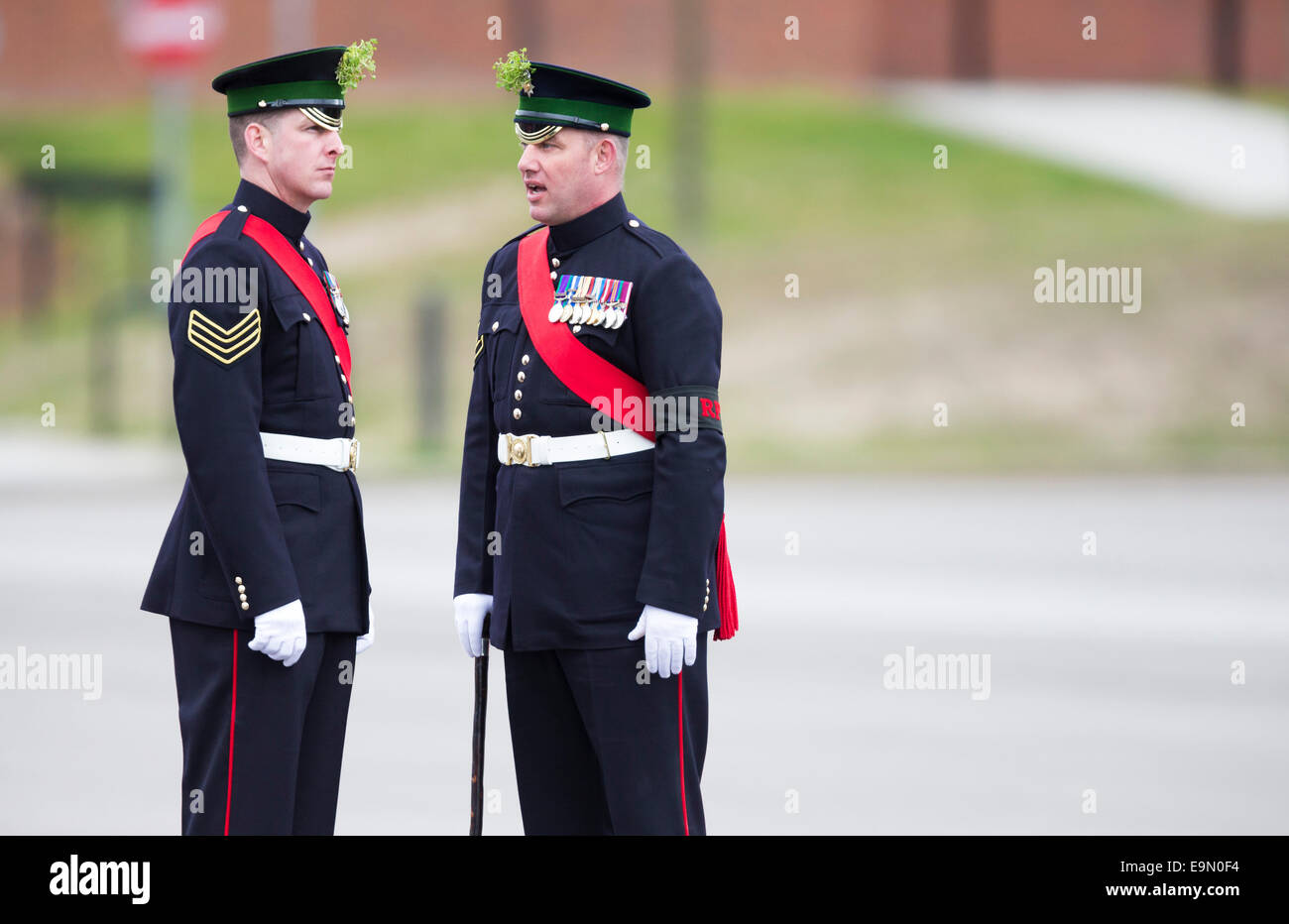 Soldiers from the 1st Battalion the Irish Gurads with shamrock sprigs ...
