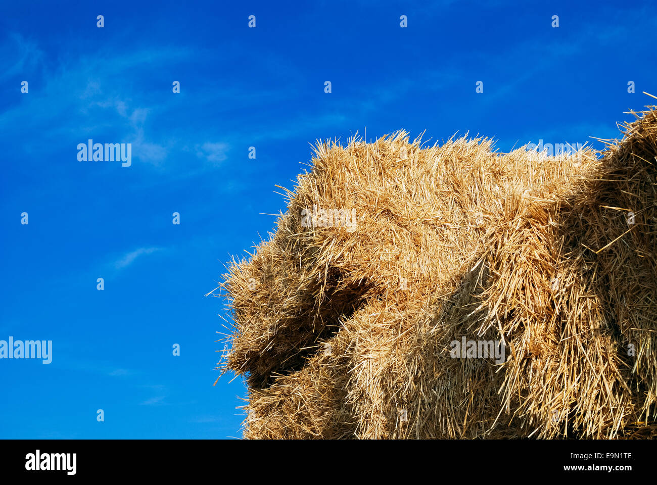 straw hay bales Stock Photo - Alamy