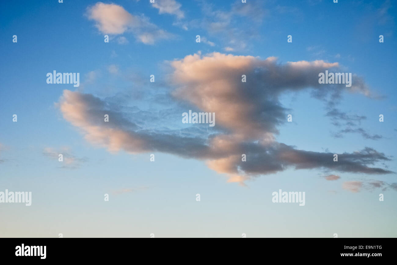 Clouds in shape of a flying bird Stock Photo - Alamy
