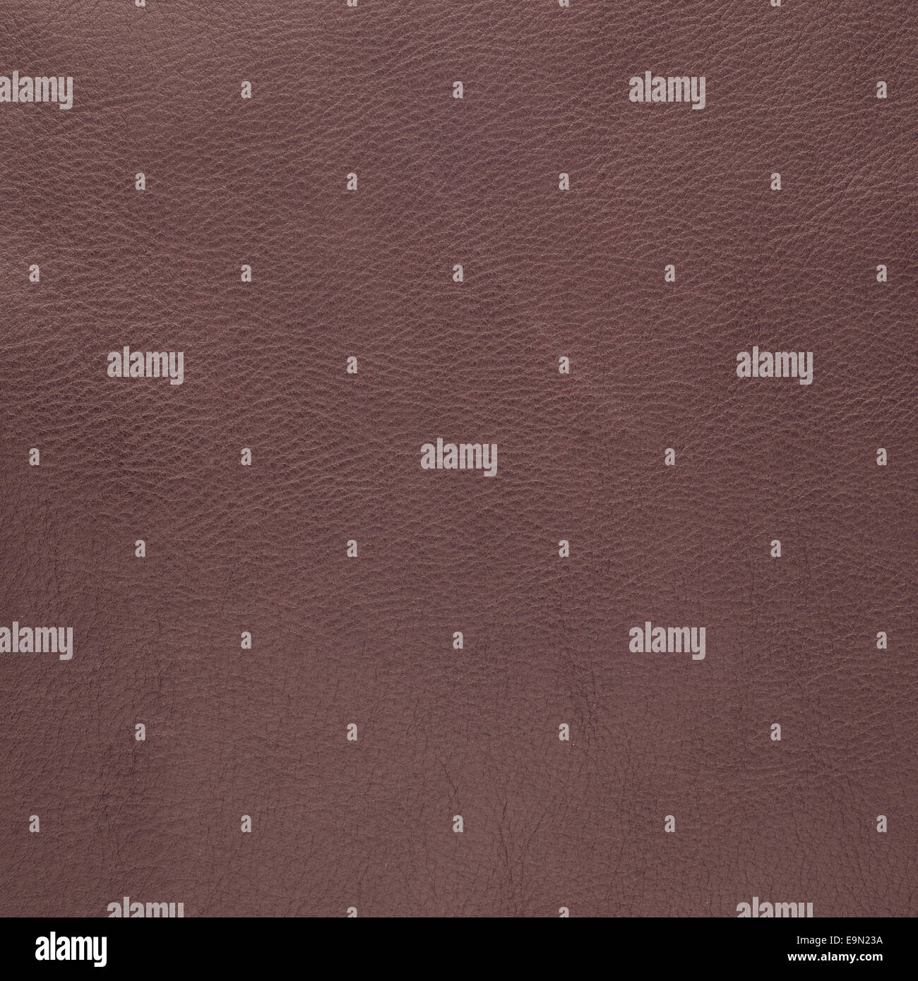 Purple leather material background hi-res stock photography and images ...