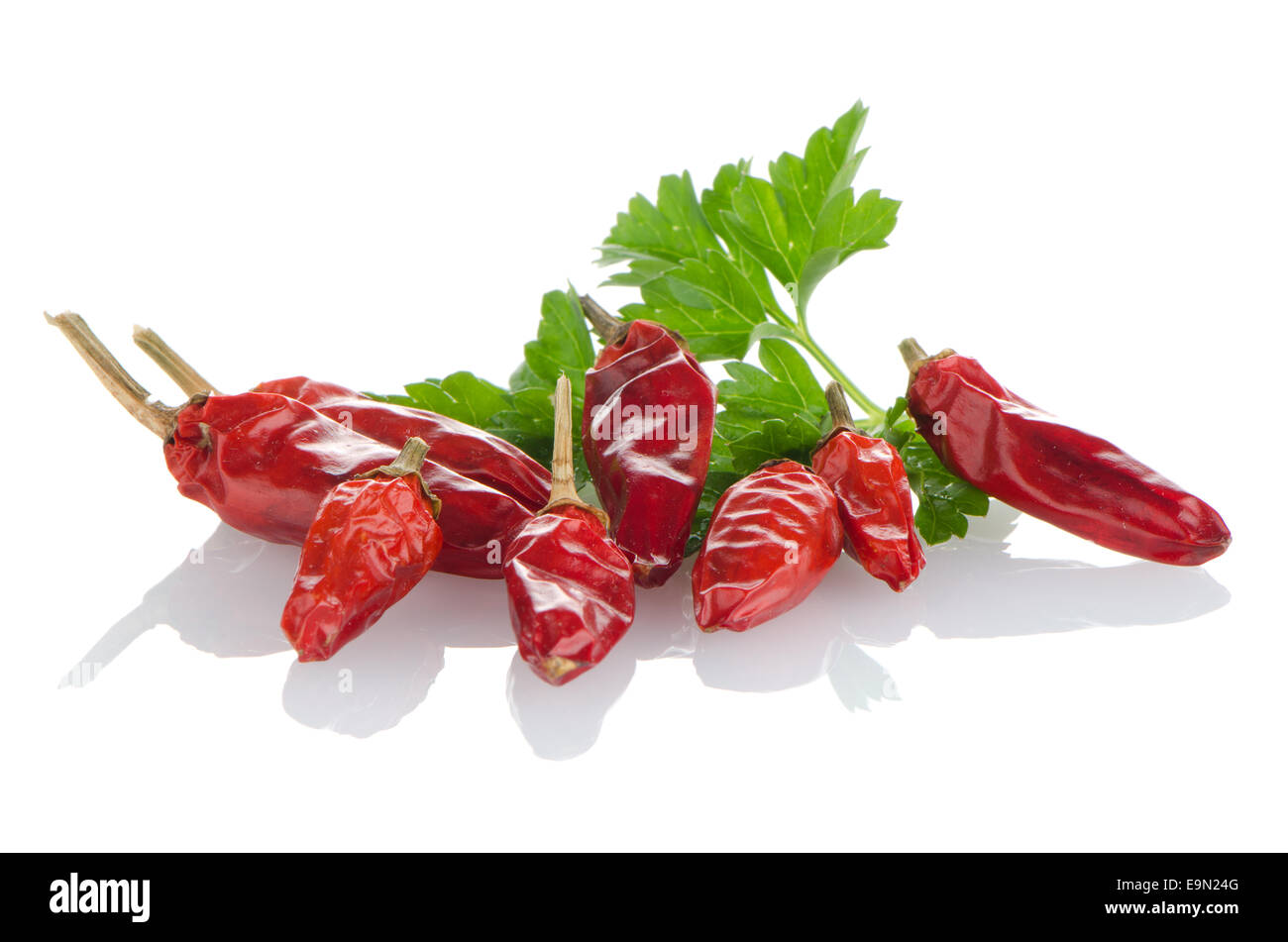 Chilli leaves Cut Out Stock Images & Pictures - Alamy