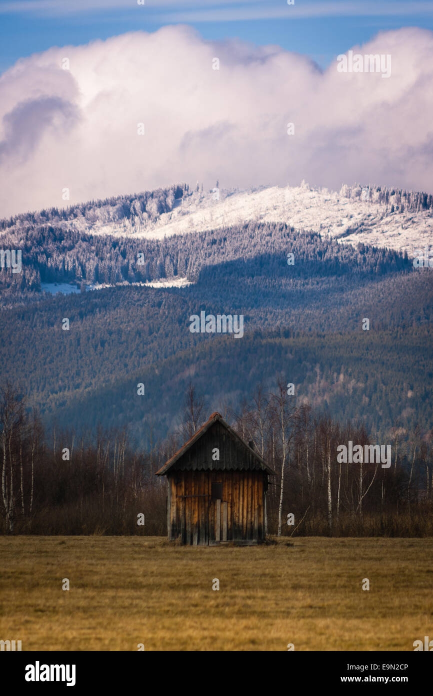 Tree top hut hi-res stock photography and images - Alamy