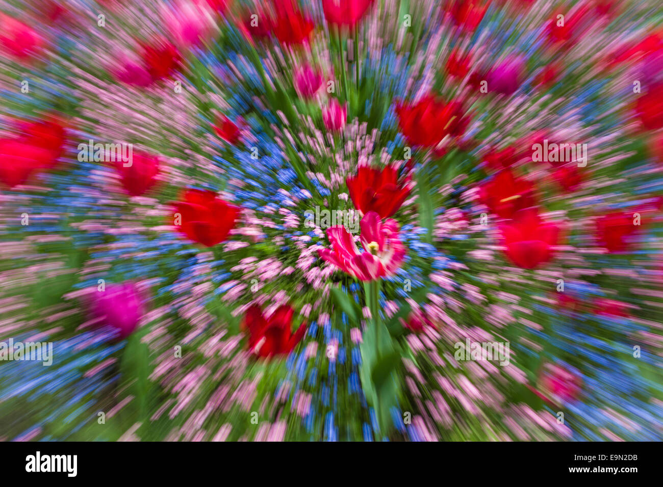 Impression flower hi-res stock photography and images - Alamy