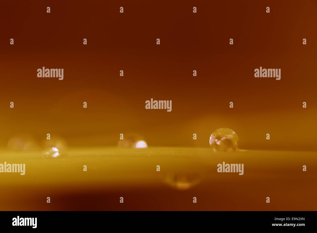 Isolated raindrops hi-res stock photography and images - Alamy