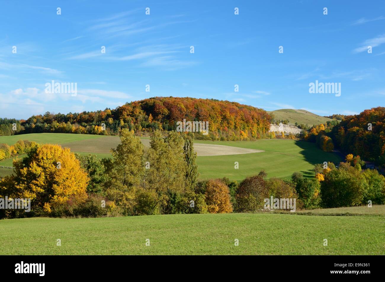 Wiese baum hi-res stock photography and images - Alamy