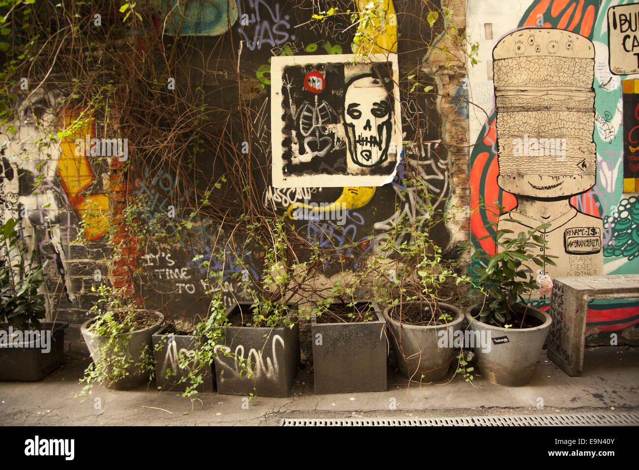 Art; Graffiti & self-expression of all sorts adorns the walls of Haus ...