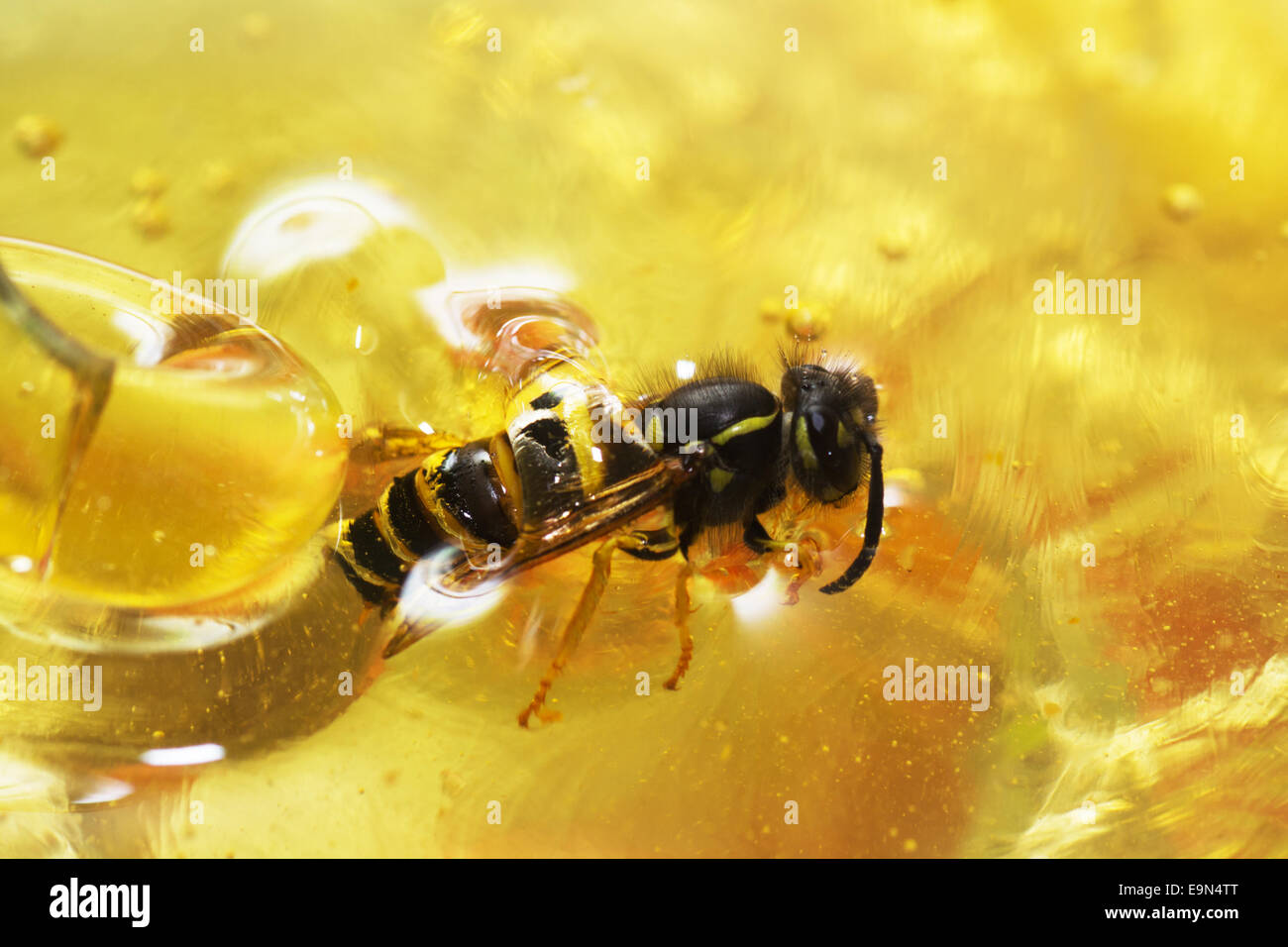 Float and sink hi-res stock photography and images - Alamy