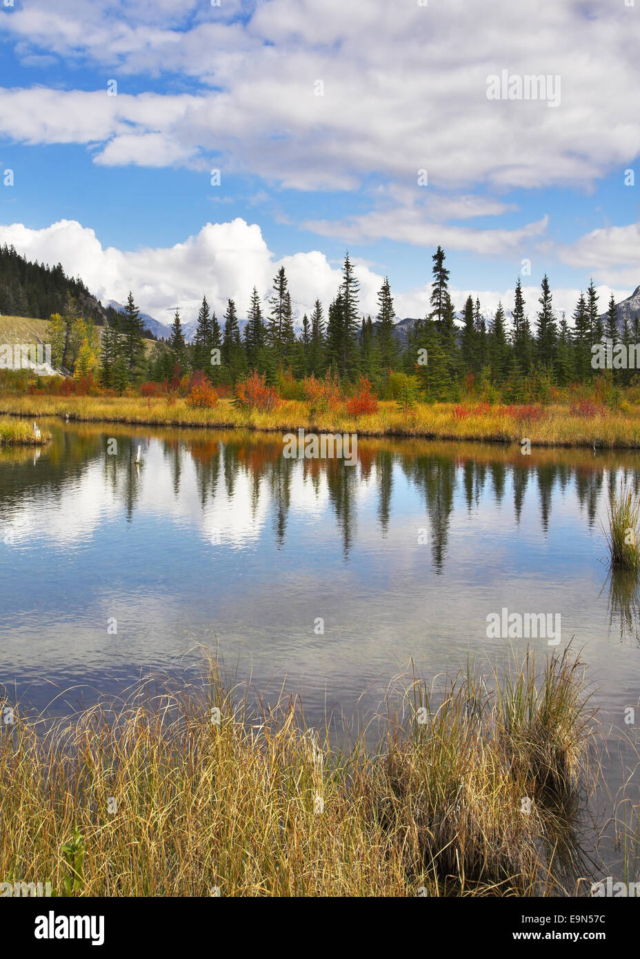 Brilliant small lake Stock Photo - Alamy