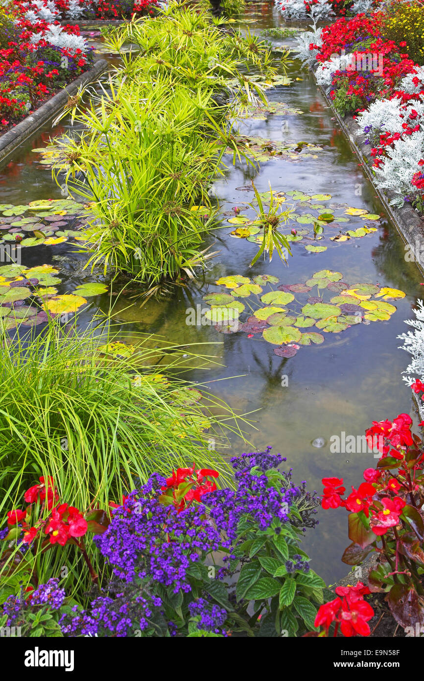 Flowers in water Stock Photo - Alamy