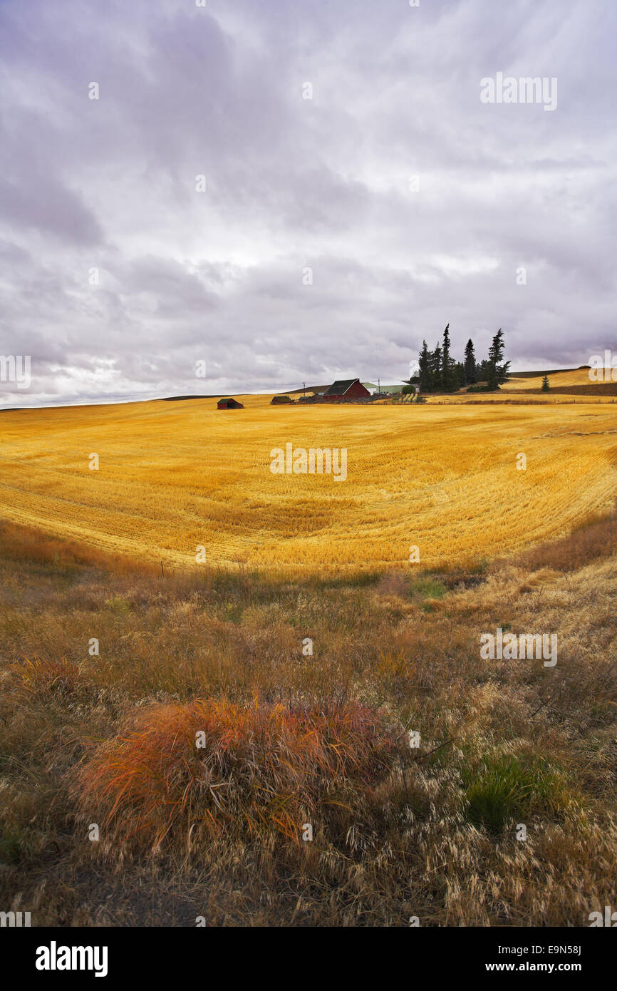 Small farm hi-res stock photography and images - Alamy