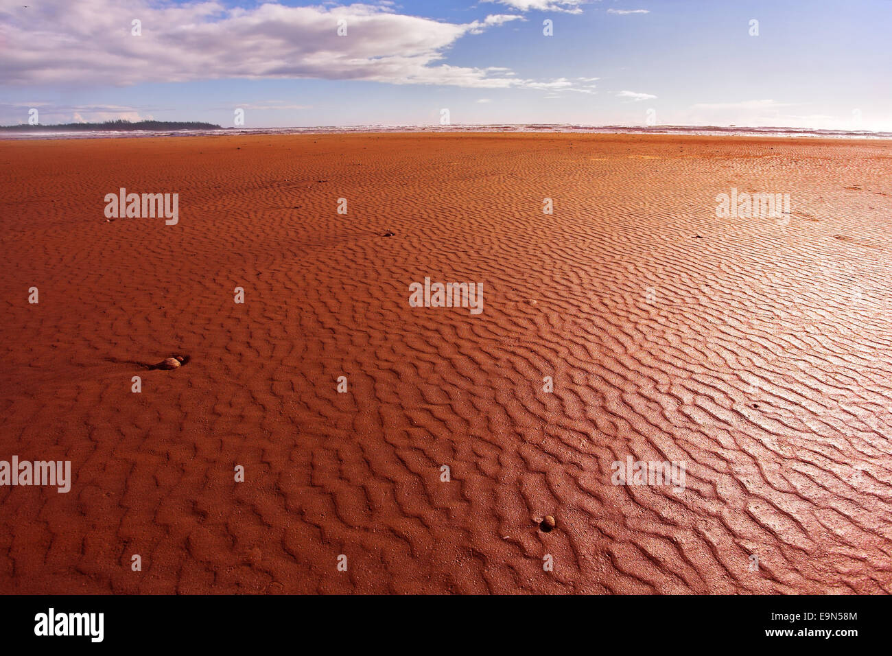 Vancouver beach scene hi-res stock photography and images - Alamy