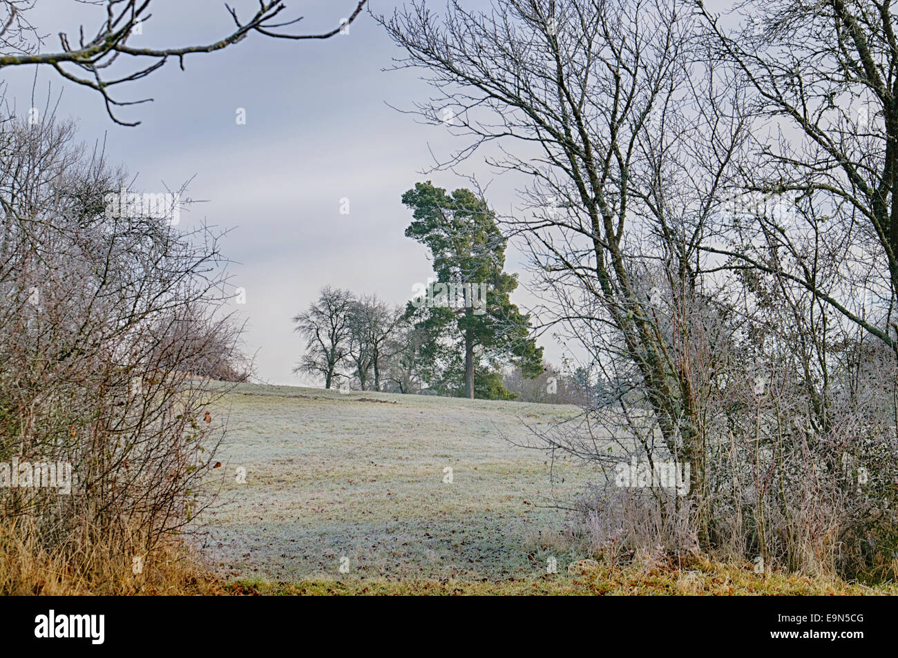 Foggy winter landscape Stock Photo - Alamy