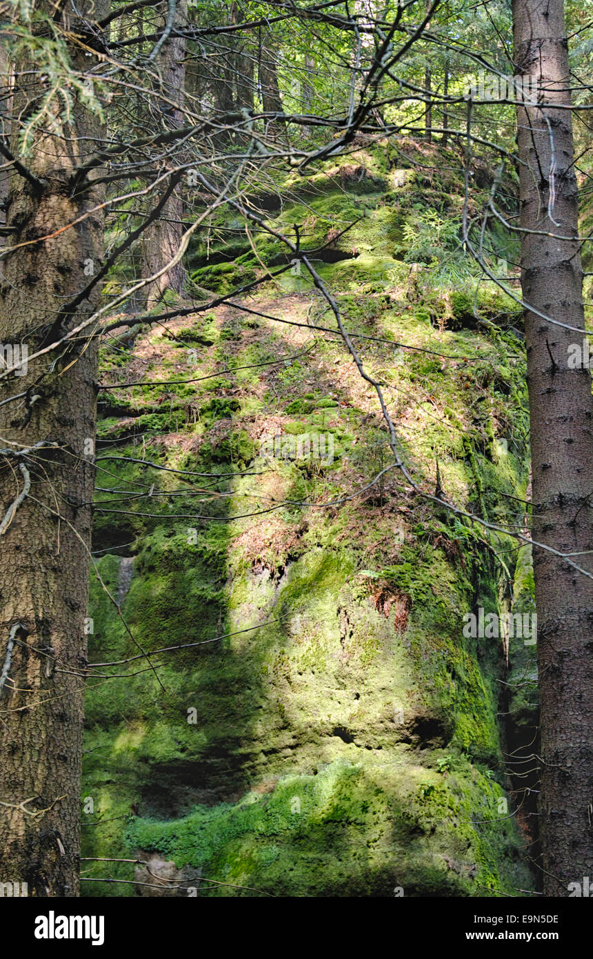 Hiking In Germany Stock Photo Alamy hiking-in-germany-stock-photo-alamy
