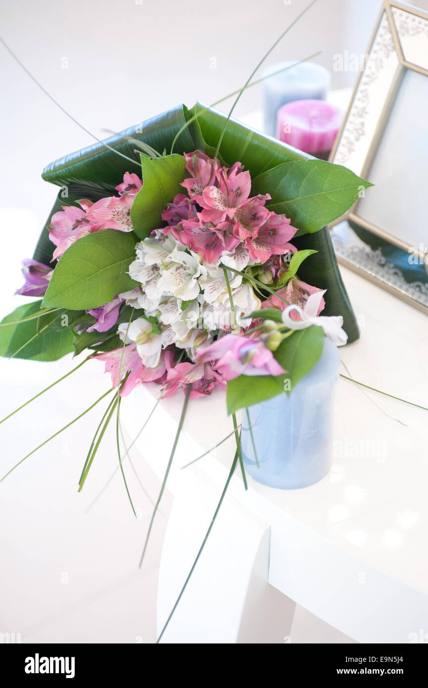 Marri leaf hi-res stock photography and images - Alamy