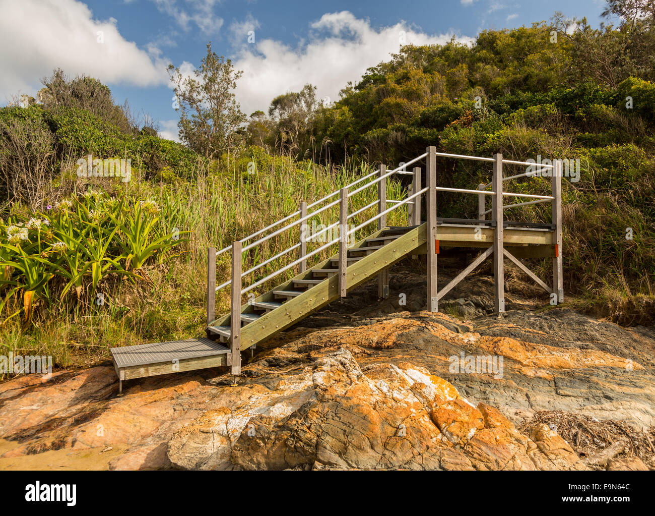Elevated walkway through forest hi-res stock photography and images - Alamy