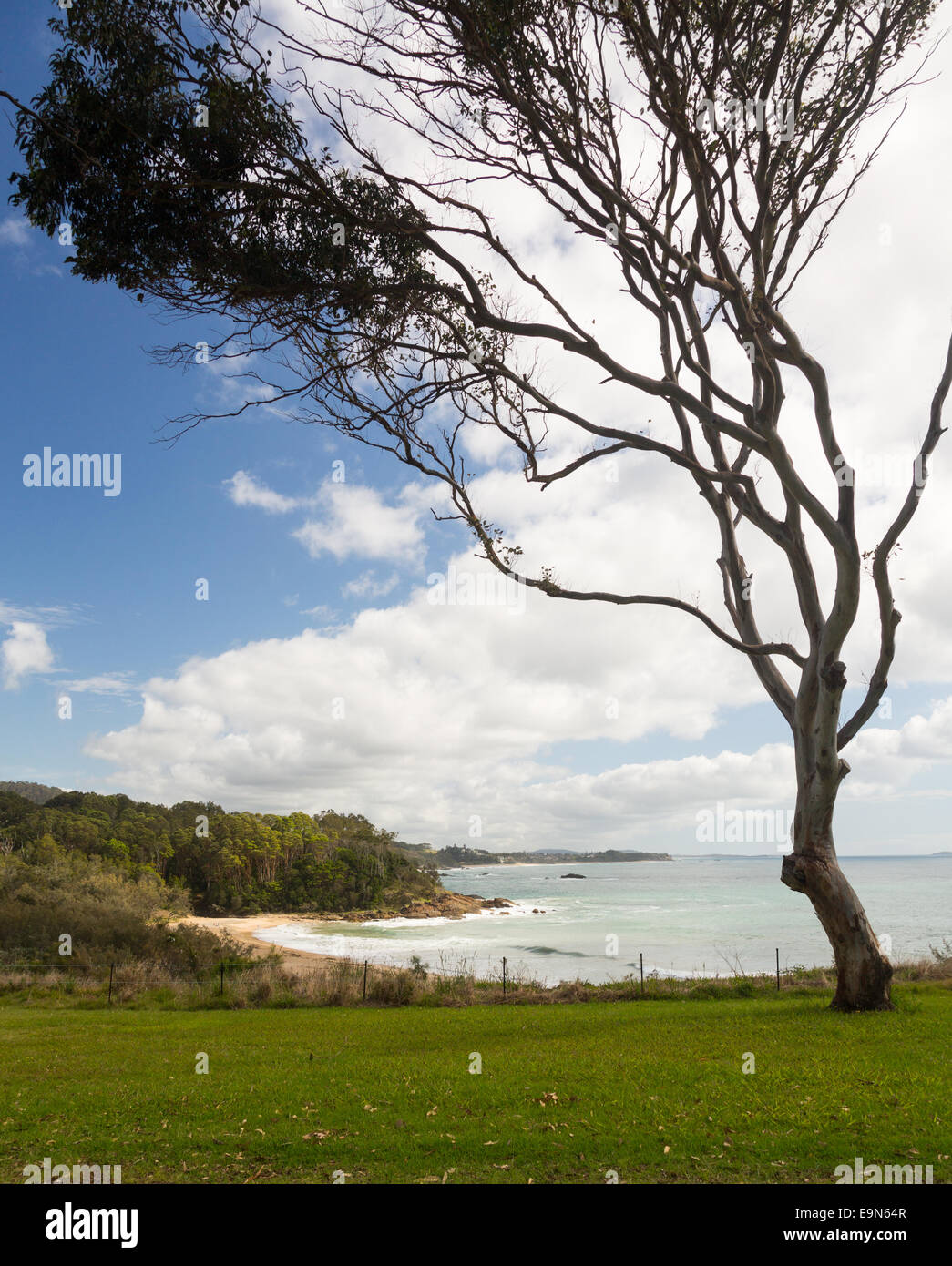 Australia coffs harbor ocean hi-res stock photography and images - Alamy