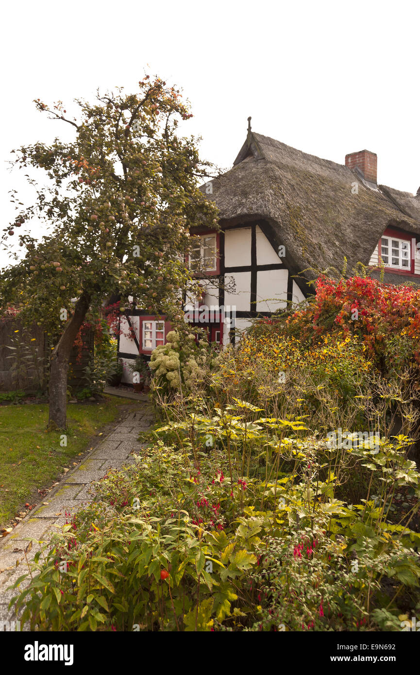 House in Fischland in Germany Stock Photo - Alamy